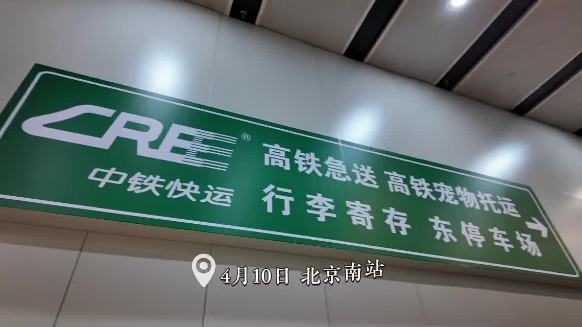 带着“毛孩子”坐高铁 “铲屎官”点赞宠物托运服务