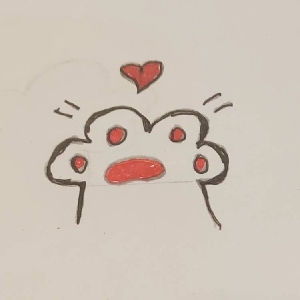 猫猫小课堂 