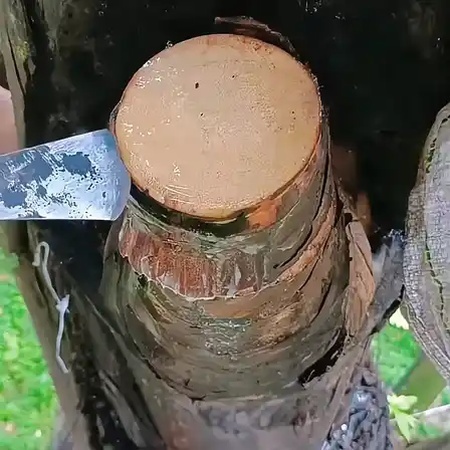 探讨语言表达的奇妙之处与情感背后的深意