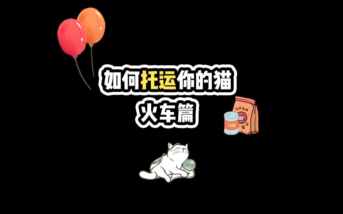 如何托运你的猫 - 火车篇