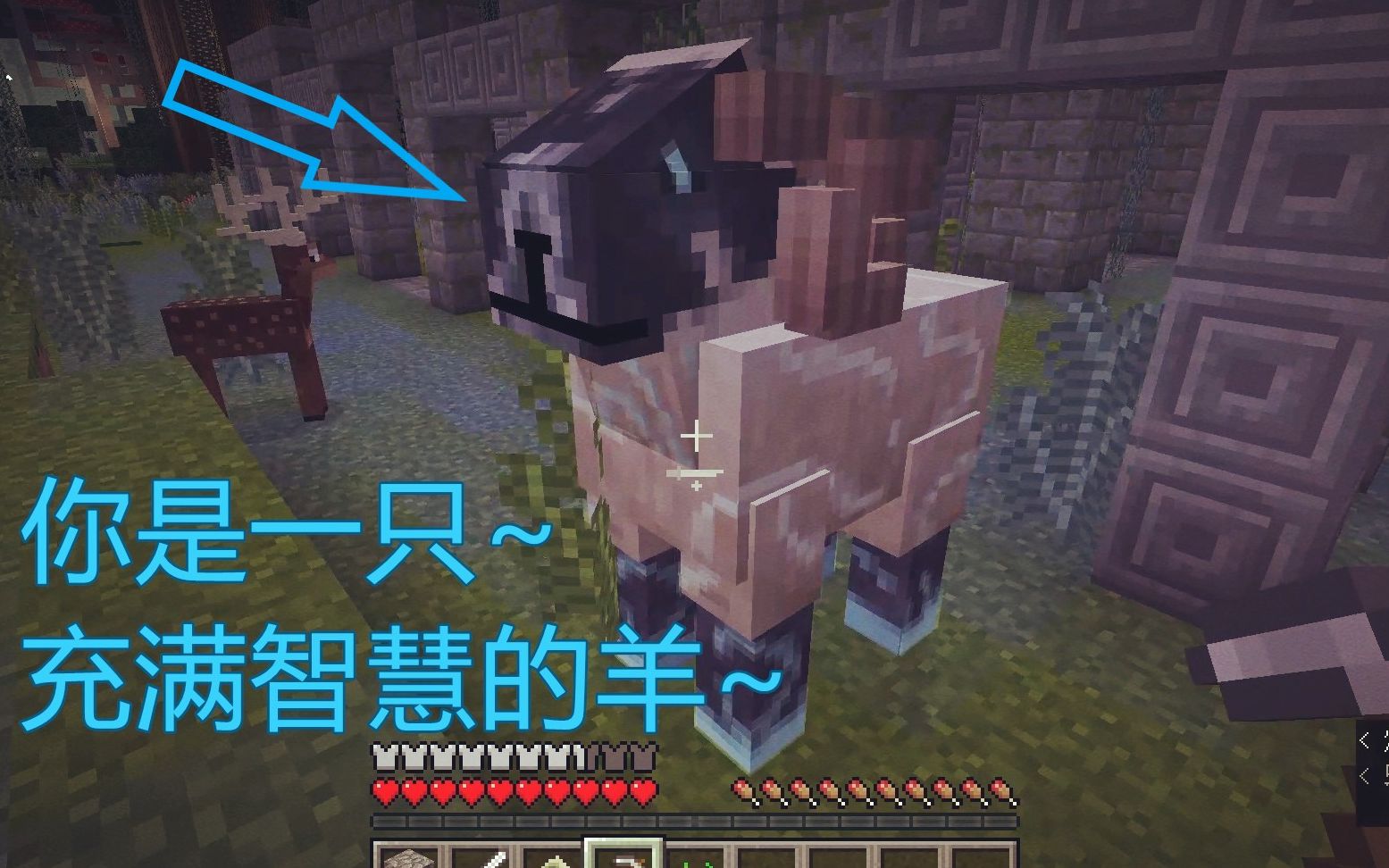 我的世界暮色森林:智慧之羊让我帮它找羊毛!