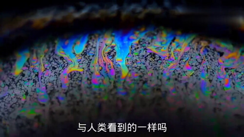 世界的真实颜色与人类看到的一样吗