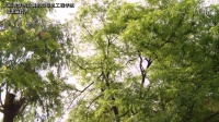 北京农学院计算机与信息工程学院招生宣传片
