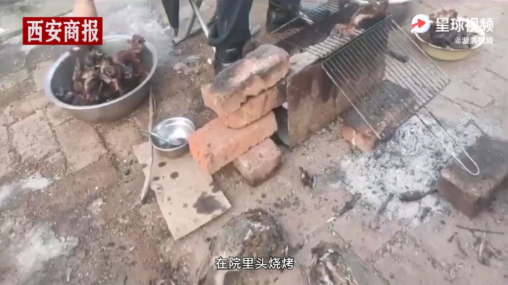 辽宁一独居老汉捕杀300多只野生动物自食:知道违法,没想过这么严重