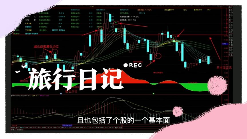 通达信主图指标#财经知识 #干货分享 #股民
