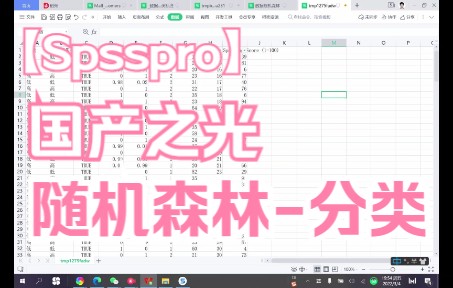 spsspro 用随机森林来分类