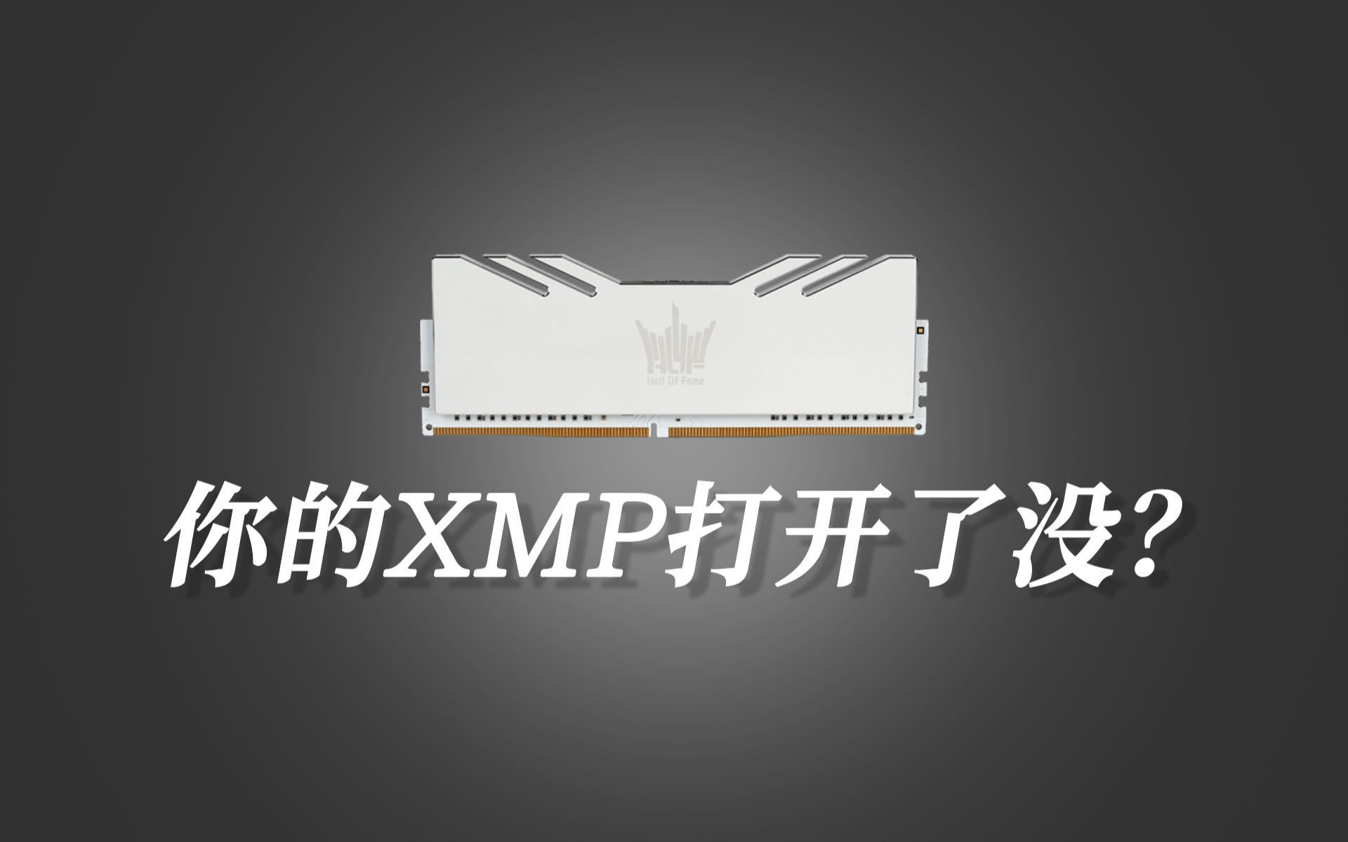 不知道你们的XMP预设都打开了没!