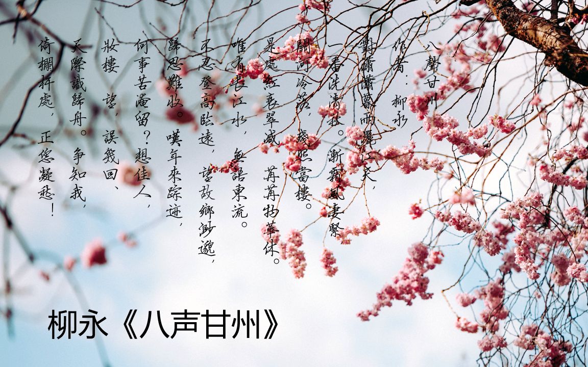 柳永《八声甘州》诵读教学版