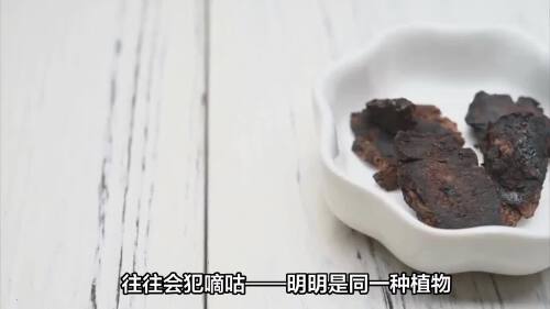 生熟鲜地黄功效天差地别!这样吃效果翻倍,别再浪费了