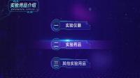 高中化学实验 锌和稀硫酸反应实验