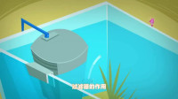 螺丝钉: 过滤器事用来清洁的让鱼更好的呼吸得到氧气