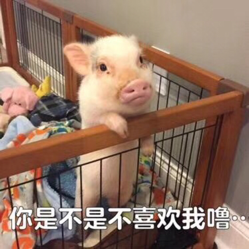 山哥哥喜欢吃肉肉 