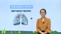 3.22发生在肺内的气体交换