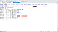跟马哥快速学Linux-文件管理命令及变量基础
