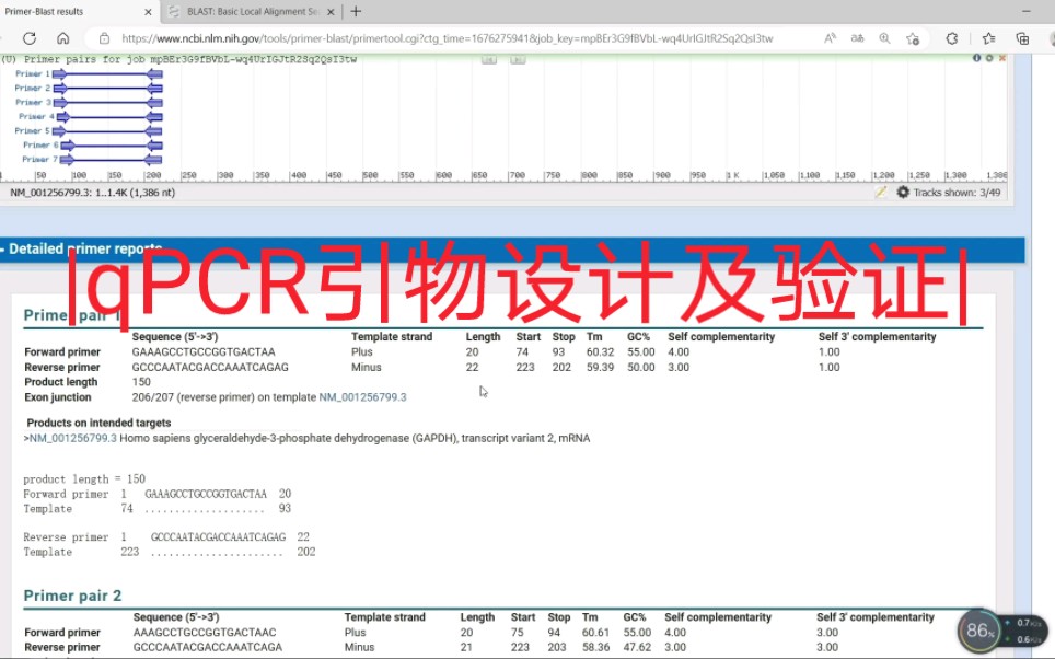 如何设计并验证qPCR引物|超详细教程|