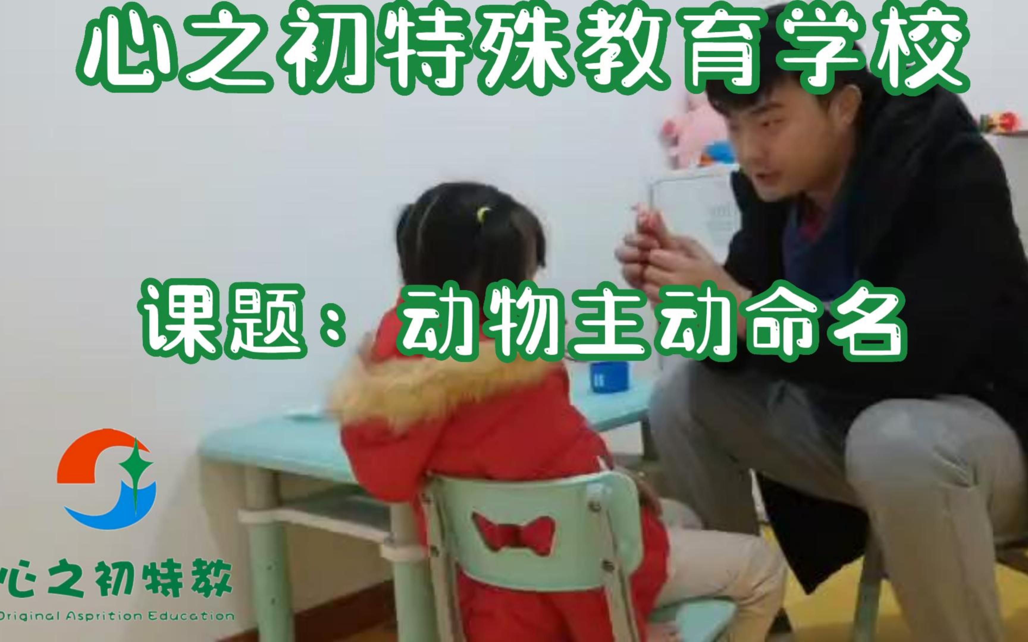 特殊儿童一对一家庭康复训练小课题:动物主动命名