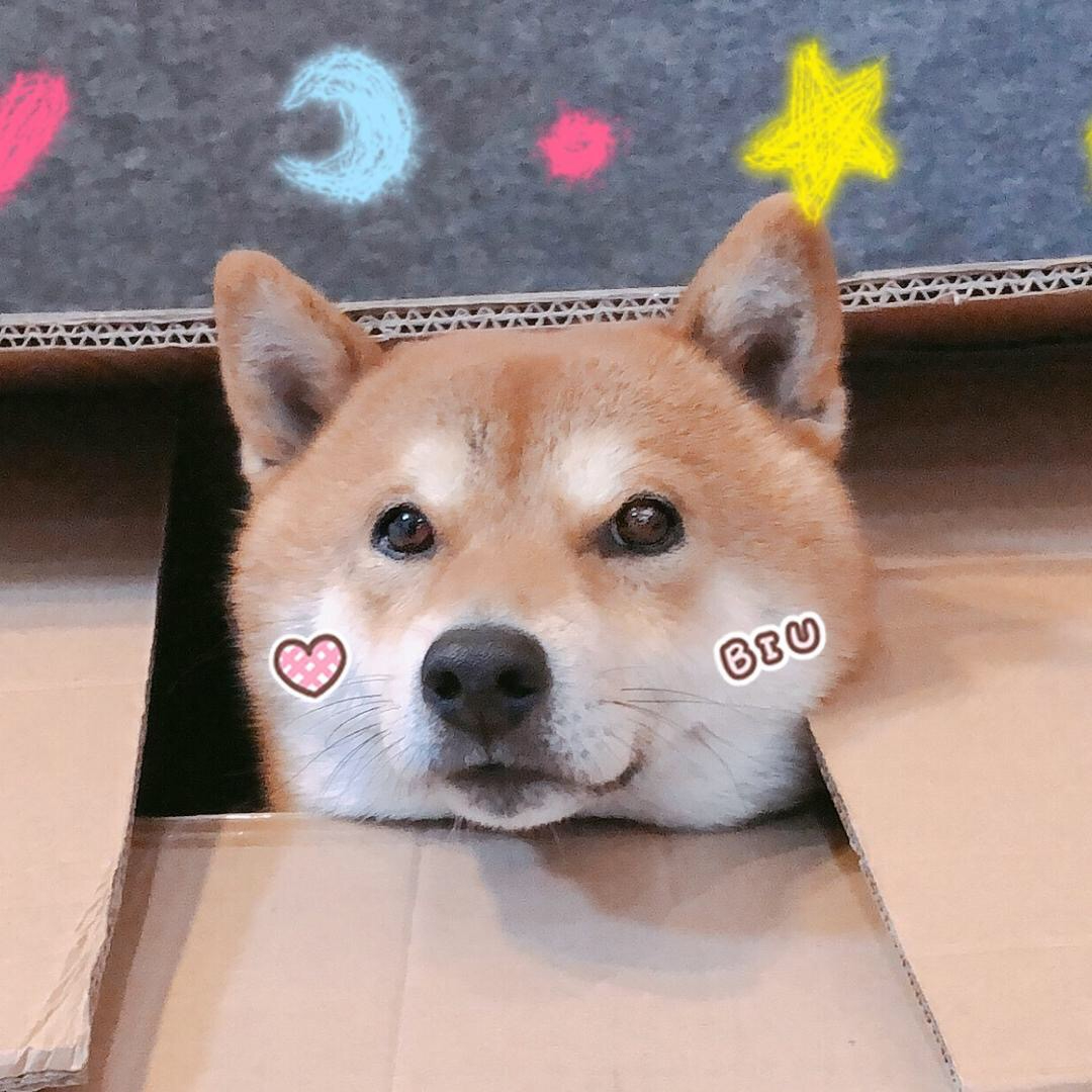 HaRuMi 
