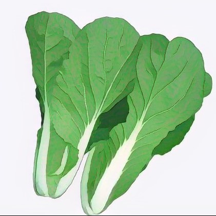 5号菜 
