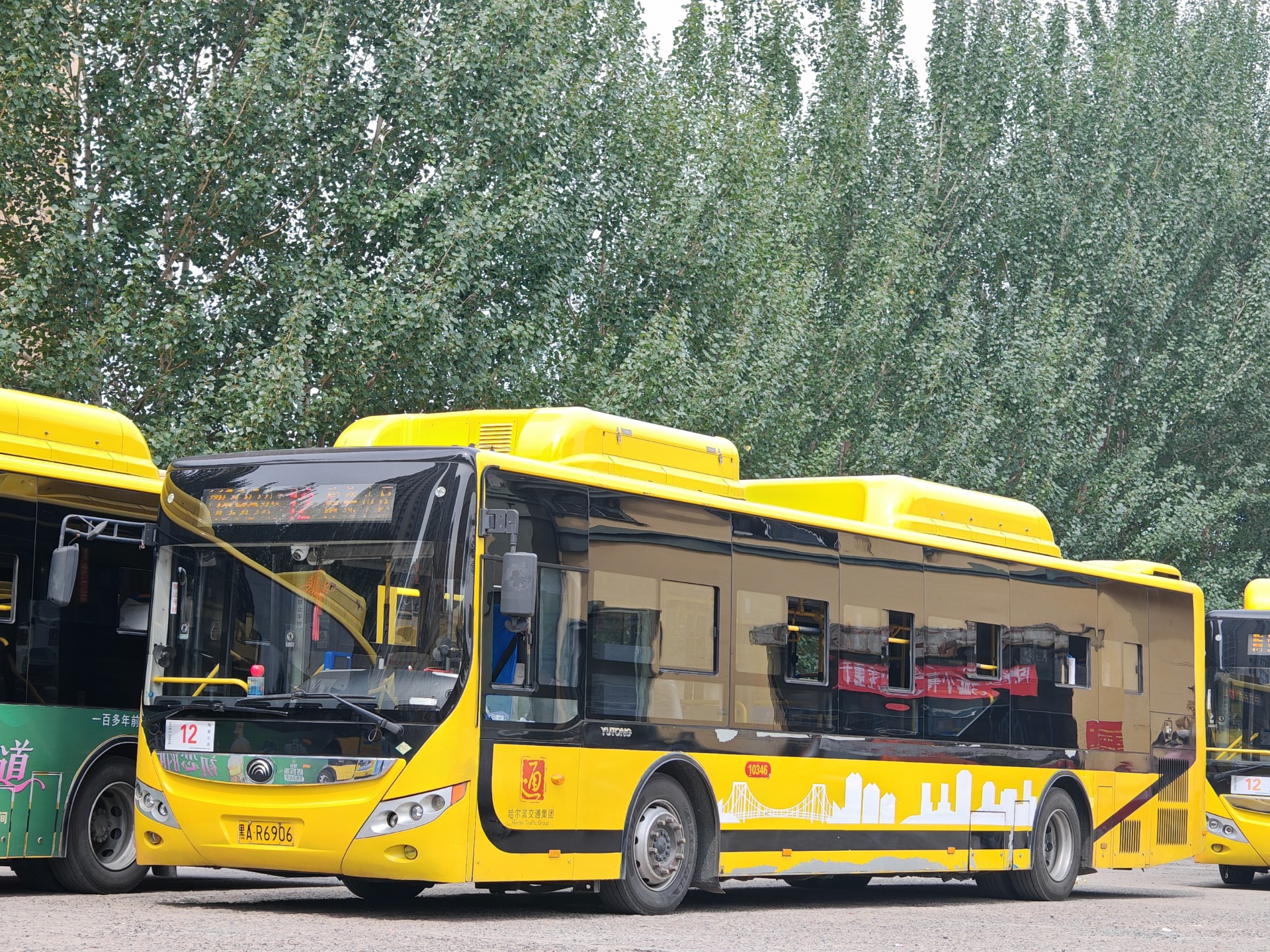 【哈尔滨公交】哈尔滨交通集团公共交通有限公司12路宇通ZK6125...