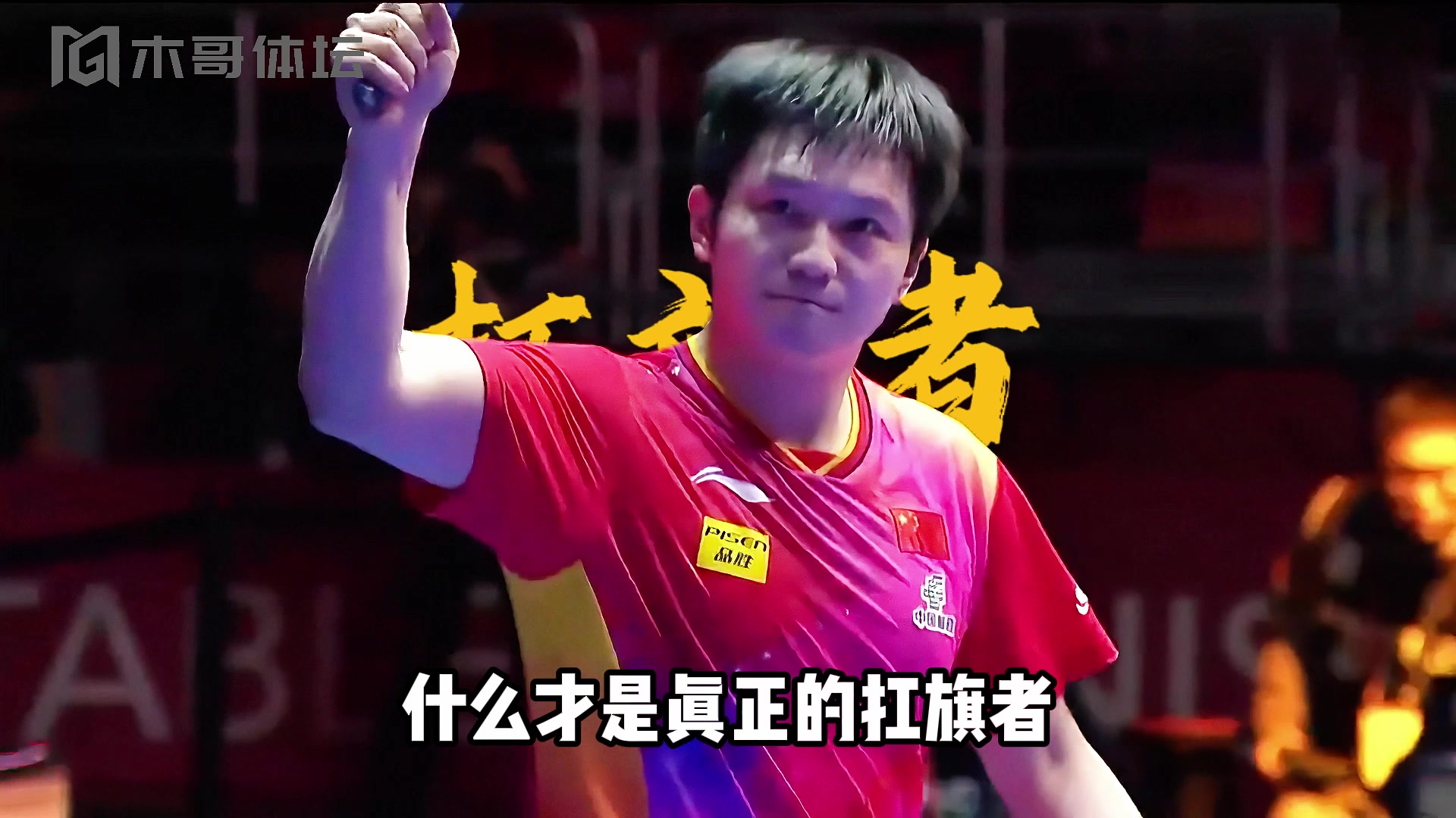 樊振东十年铁血一单,扛起了国乒的大旗 #乒乓球 #比赛 #樊振东 #国乒 ...