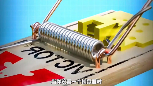 科学:捕鼠器科学探索  科学