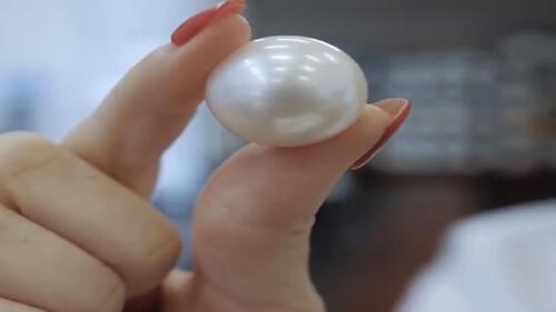 你知道为什么河蚌能产出珍珠吗?