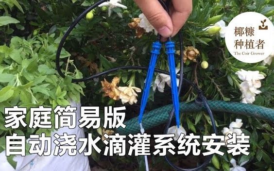 手把手教你安装自动浇水滴灌系统,从此再也不用天天浇水了?