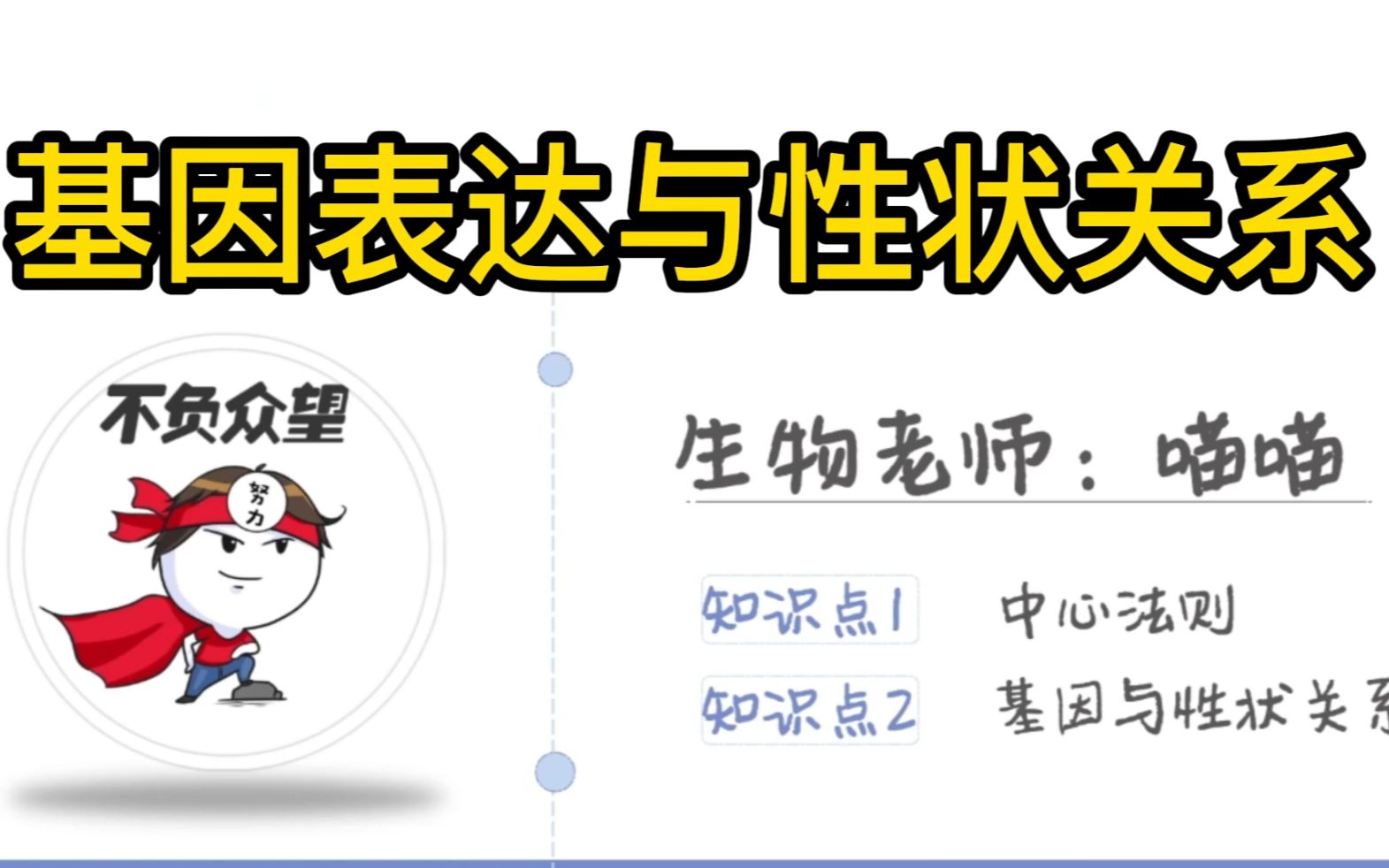 【高中生物必修二】基因表达与性状关系(知识+考点)|0基础救星~