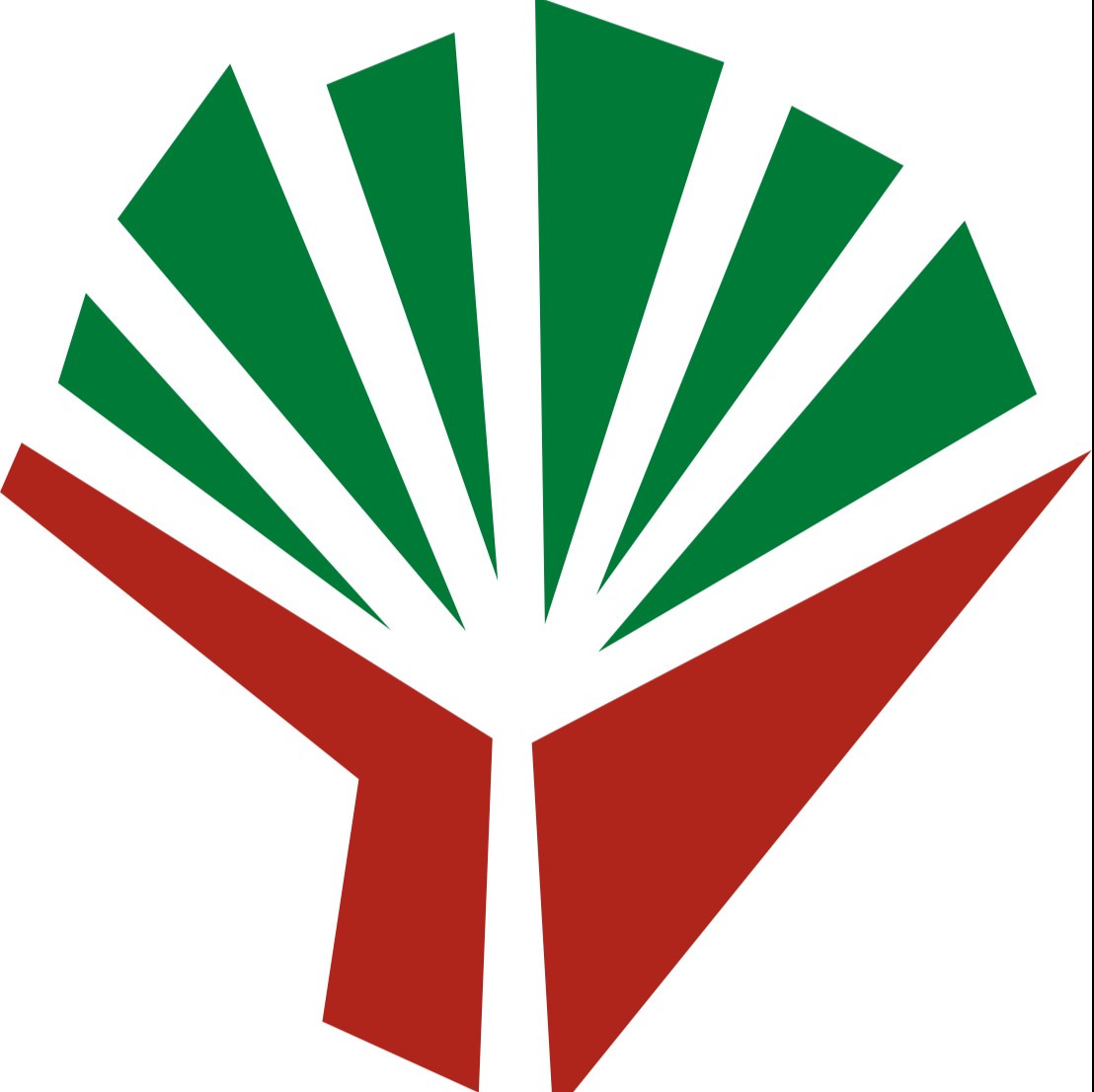 亚龙湾森林公园官方号 