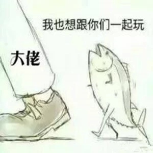 魚得记忆 