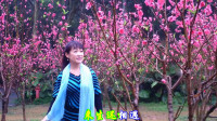 一首歌曲《我看着你转身离去》好听