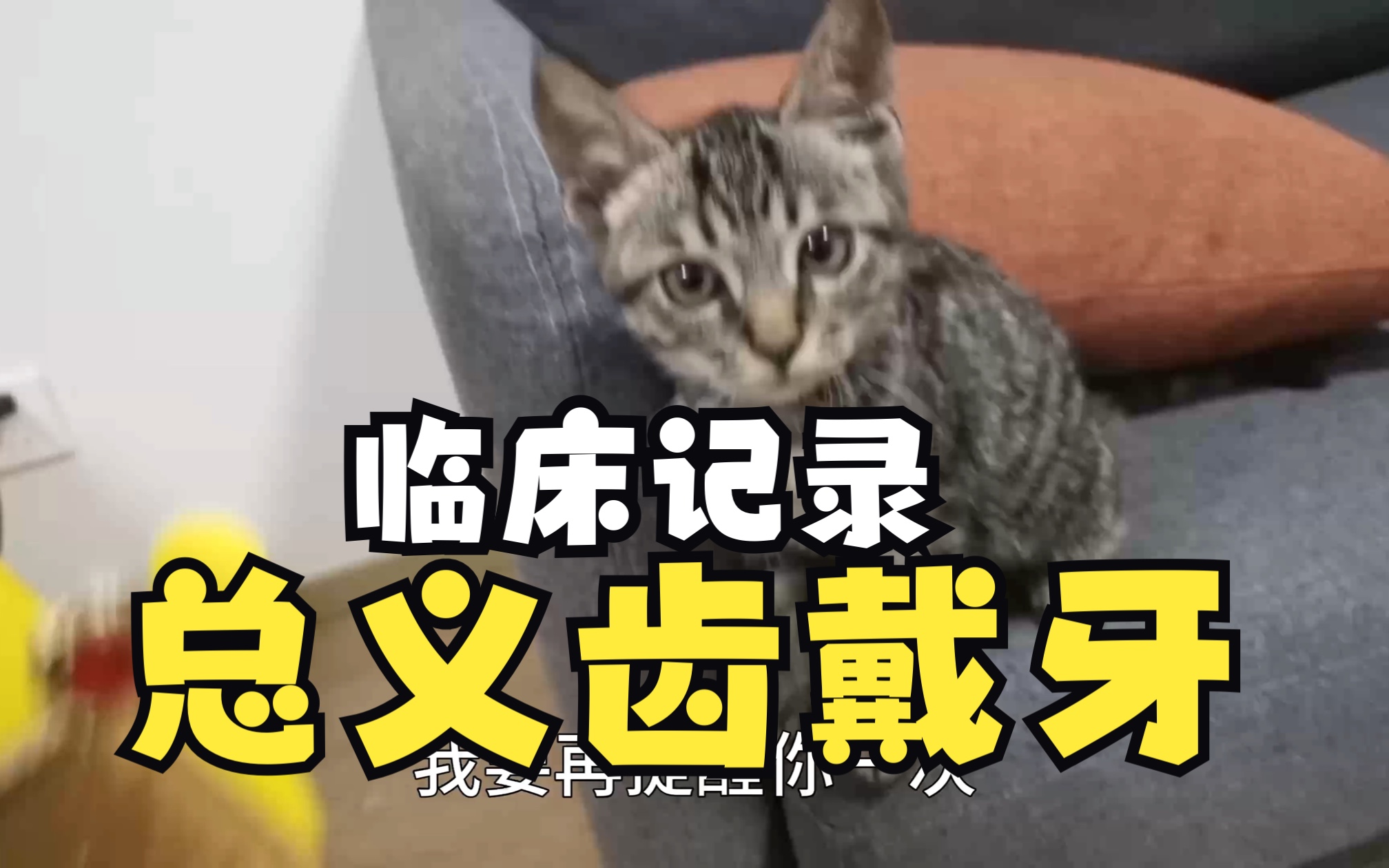 总义齿临床戴牙(第一人称视角)