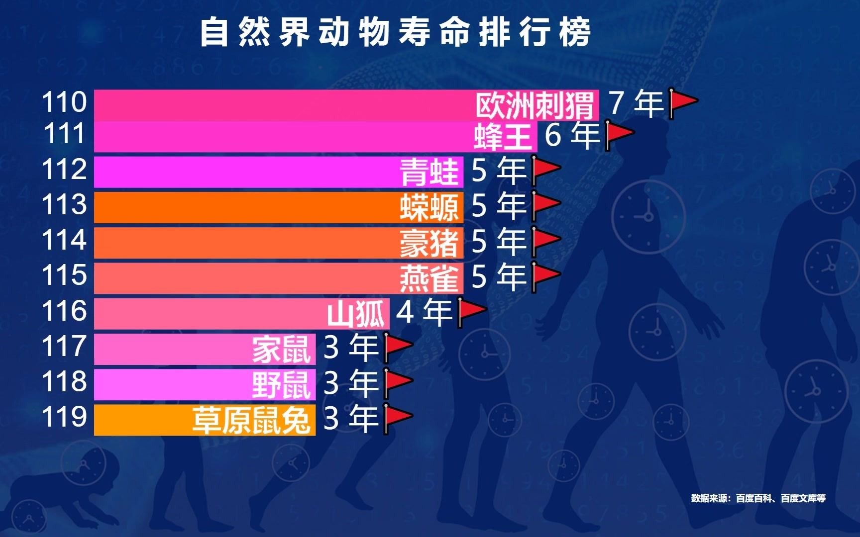 自然界动物寿命排行榜TOP 120,海龟仅排第2,人类勉强进入前十名,...