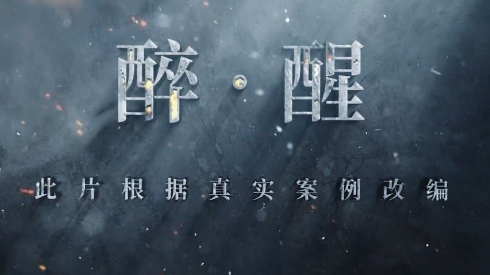 违反中央八项规定精神案例警示教育片《醉·醒》