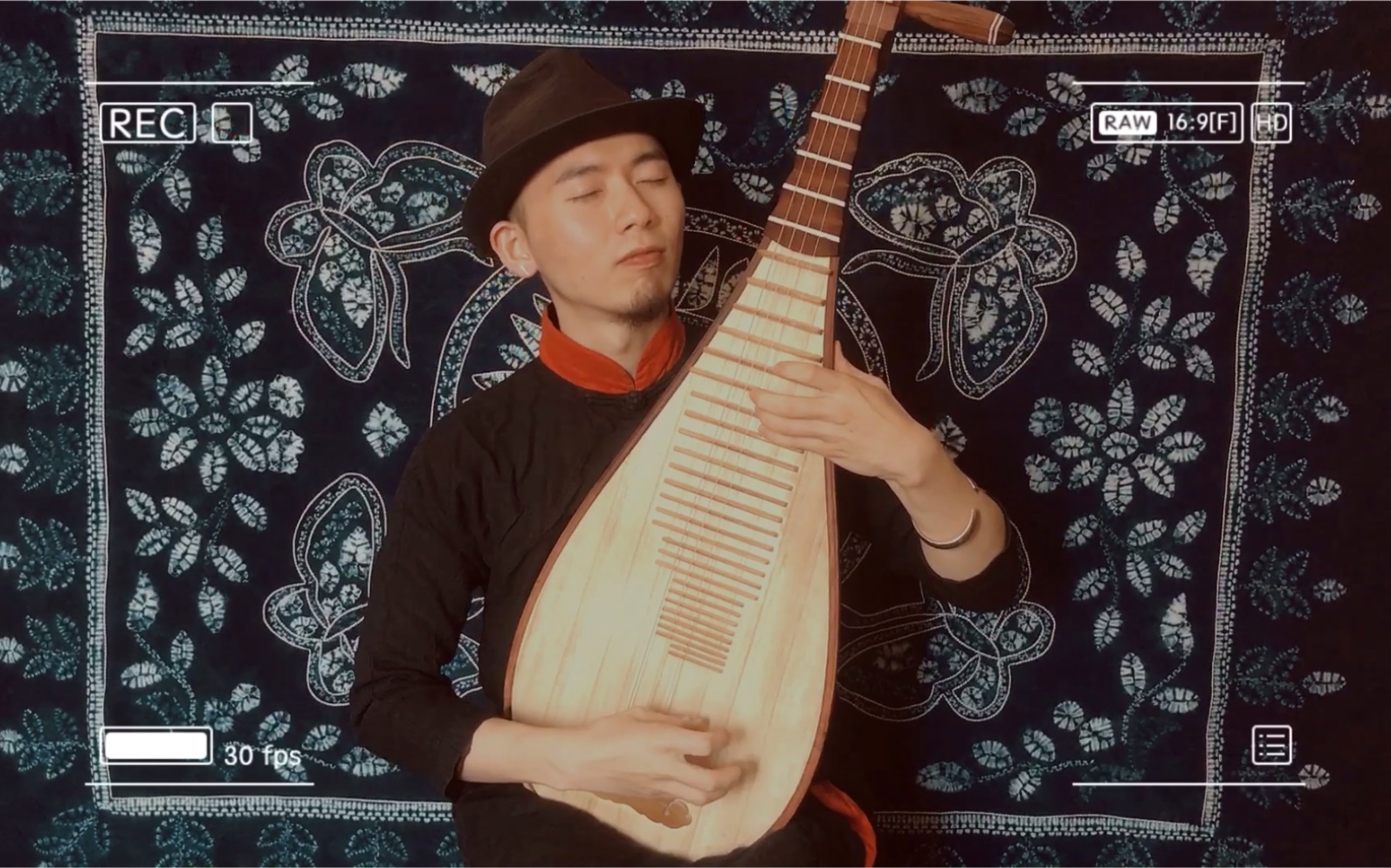 【琵琶】毛不易《一荤一素》