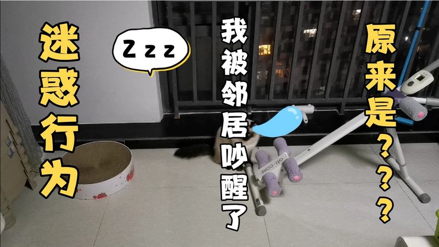 我被邻居家吵醒了,动静太大了。我要投诉!投诉!