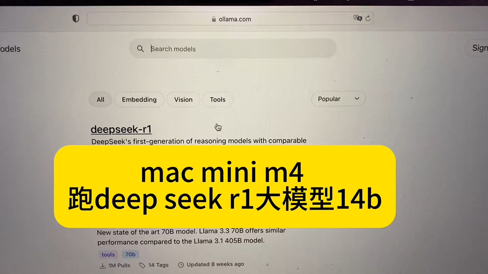 mac mini m4运行deep seek r1的14b大模型