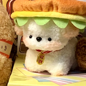 嗷呜啵叽一大口 