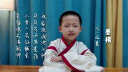 墨梅(元·王冕)小学生必背古诗词
