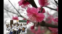 六年级 踏雪寻梅 教学片段(小学六年级音乐优质课课堂实录)