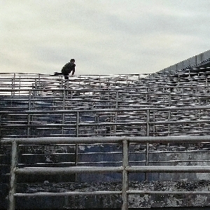 阶级友谊深似海 