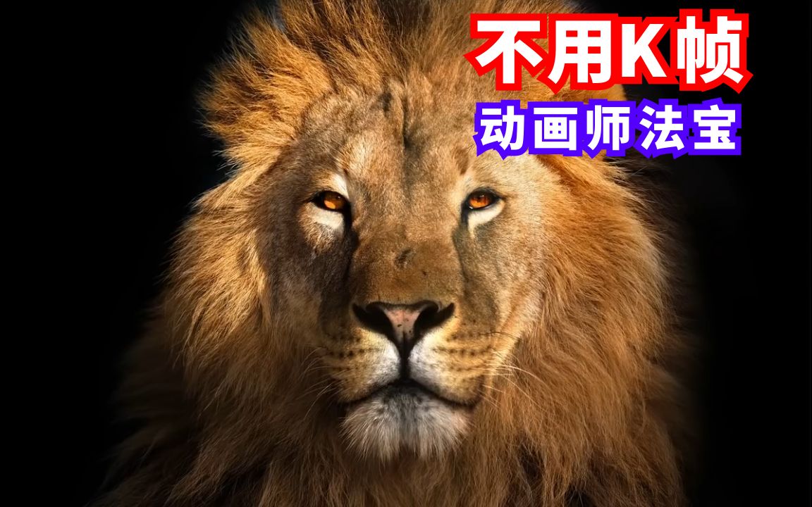 【PhotoMirage教程 | 双语字幕】不用K帧也能做动画!5分钟快速捡法宝