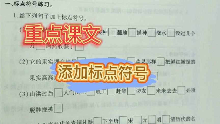 五年级标点符号填空,重点课文重点句子,这个必会,看看你怎么样