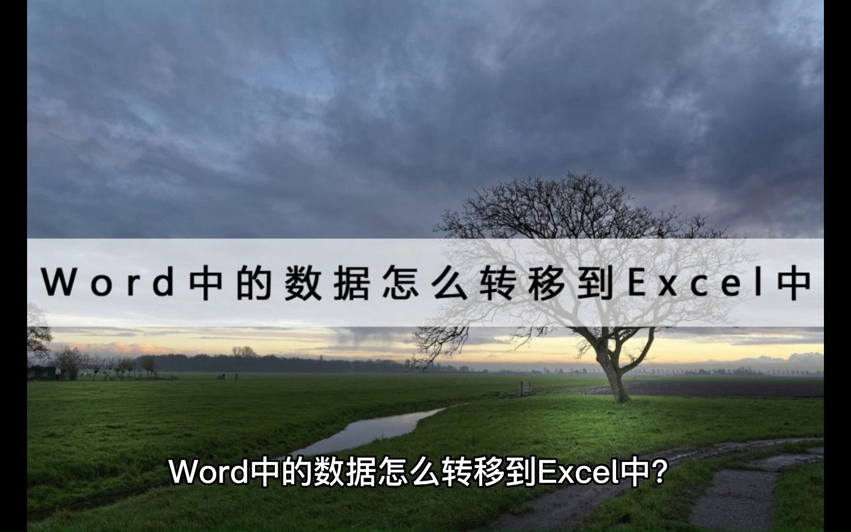 Word中的数据怎么转移到Excel中?除了手动誊写还可以这样