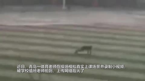 青岛一体育老师拍摄模拟真实上课场景火遍网络 网友:.