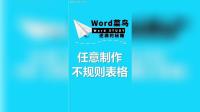 word小技巧之任意制作不规则表格