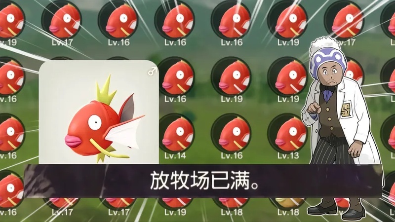当你立志一次性抓999只鲤鱼王... 宝可梦传说阿尔宙斯