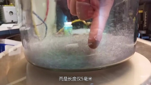 不可思议的磁性抛光研磨,钢针旋转打磨工件寻找科普达人新知创作