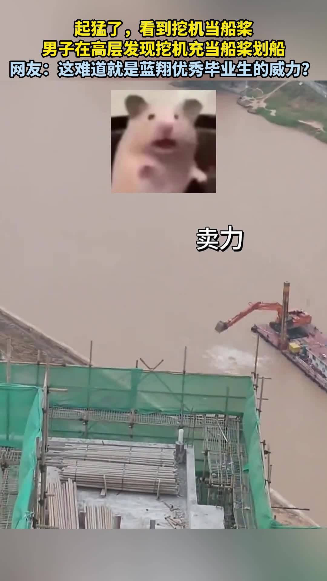 起猛了,看到挖机当船桨,男子在高层发现挖机充当船桨划船