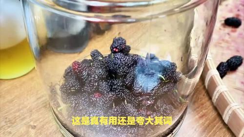 桑葚泡酒三大受益人群!滋阴安神抗疲劳,看看你适合吗?